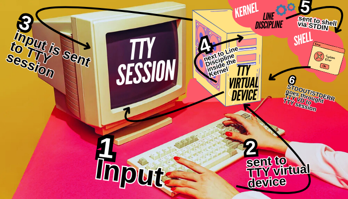 How to Understand IO and TTY in Linux for Beginners | CodeByBlazej